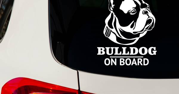 Autocolant auto cu BullDog